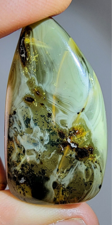 Unveiling Rare Amber Beauties: Amber Colors
