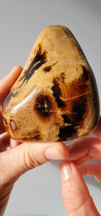 Unveiling Rare Amber Beauties: Amber Colors