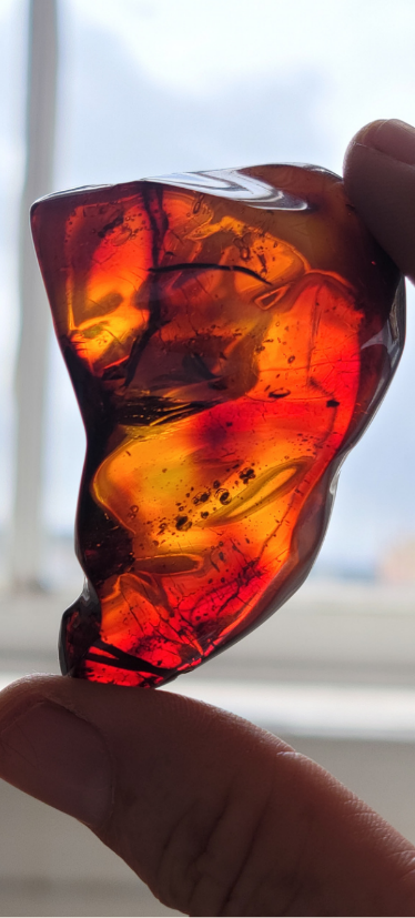 Unveiling Rare Amber Beauties: Amber Colors