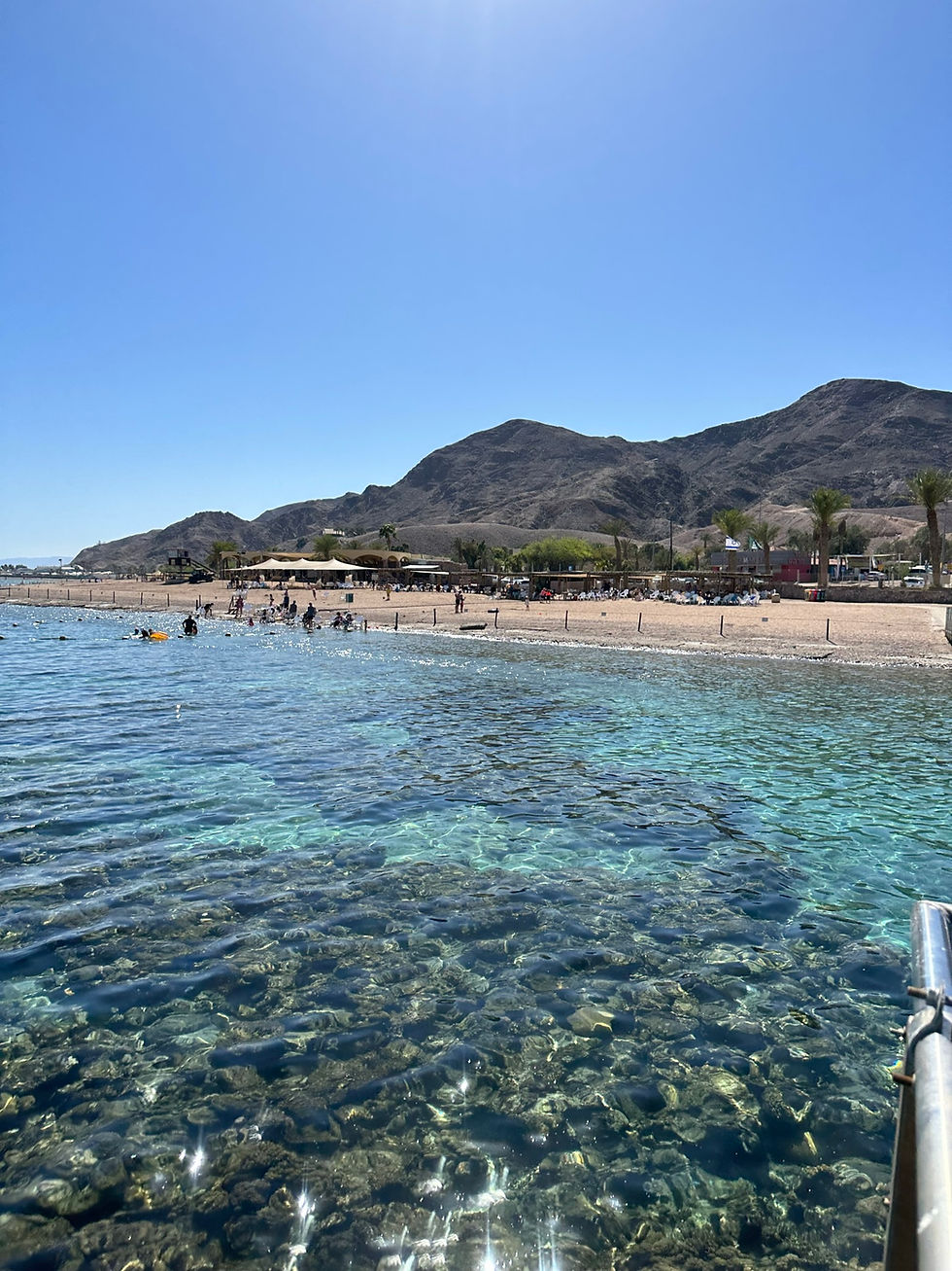 Eilat Coral Beach Nature Reserve: A Visitor's Guide to Israel’s ...