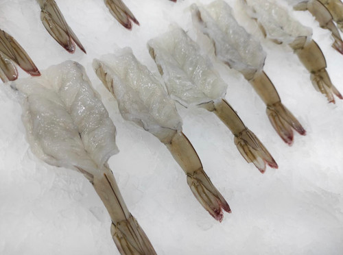 Butterfly PDTON White Shrimp | Winsea International