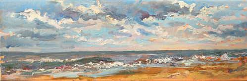 Assateague Island Wetland View | SNicholas Studios