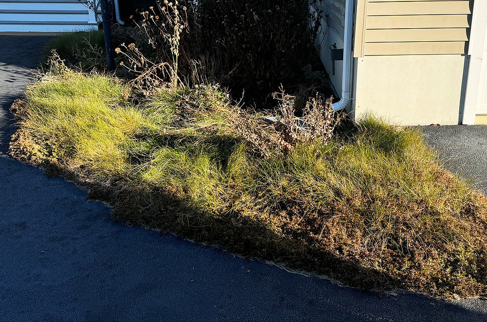 Spring Cleanup 2025: Prepare Your Landscape for a New Season