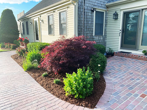 Plants Installation | Landscaping Design