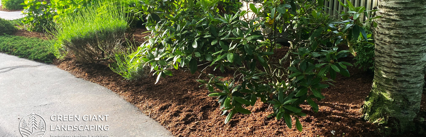 Plants installation | Landscape design Massachusetts | South Shore ...