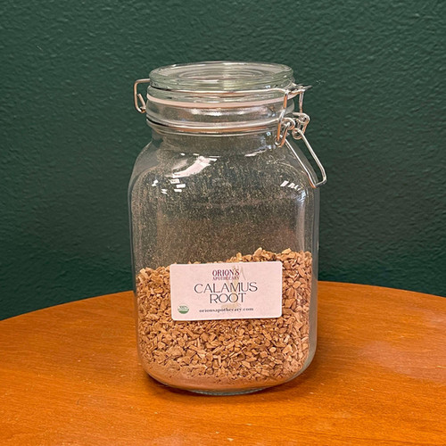 Calamus Root by the oz - Organic | Orion's Apothecary