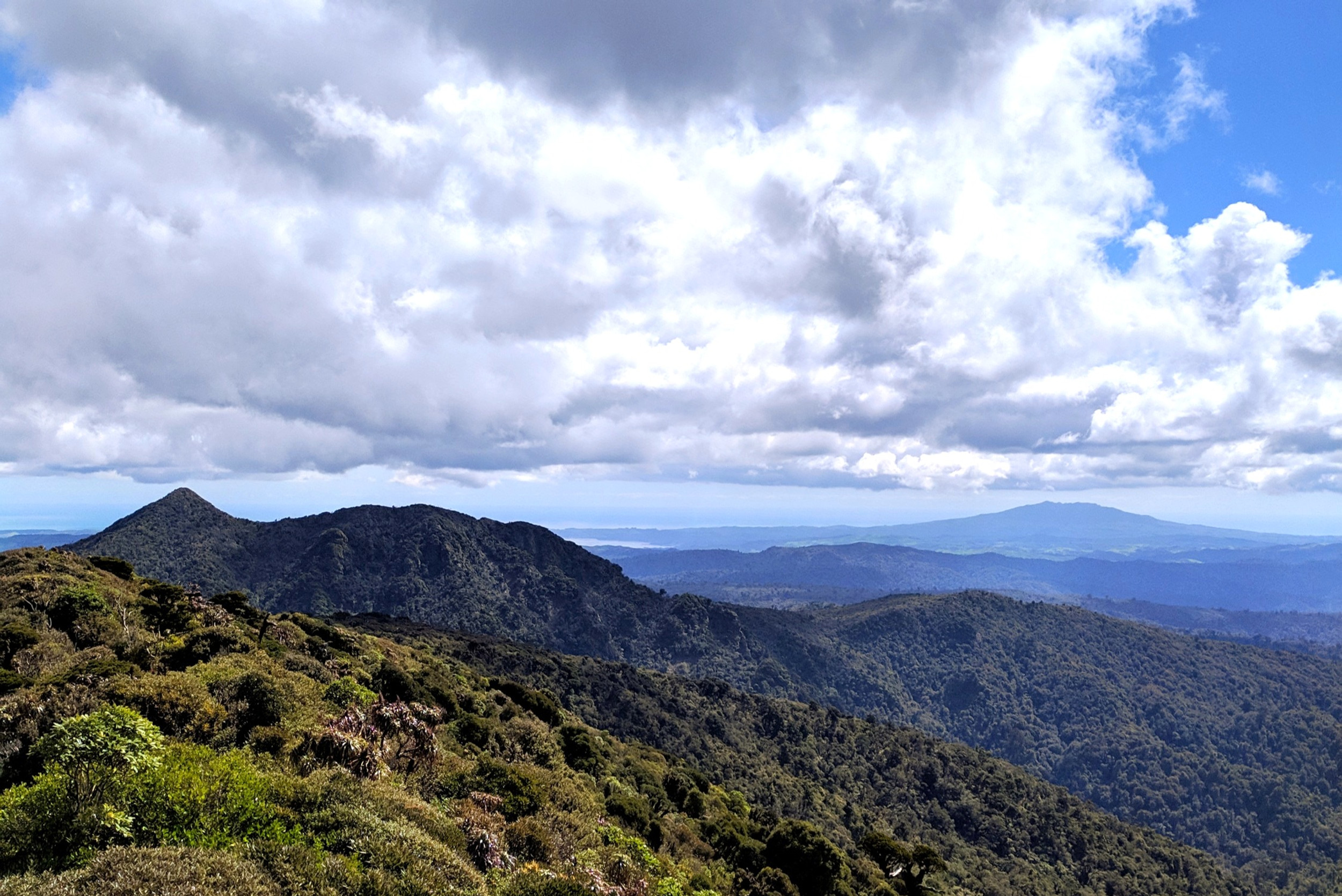 ENTRY | Pirongia Trail Run