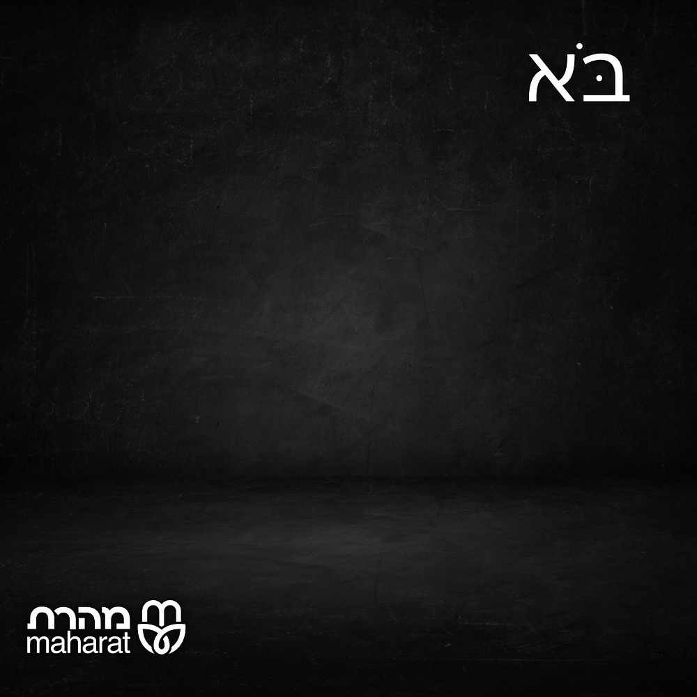 Parshat Bo: What Kind of Darkness?