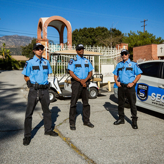 ABOUT US | Select Security