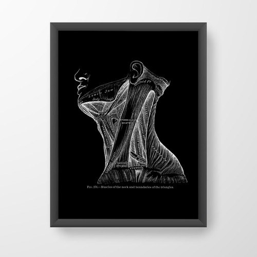 Neck Muscle Vintage Medical Drawing Human Anatomy Art Print X-Ray Black ...
