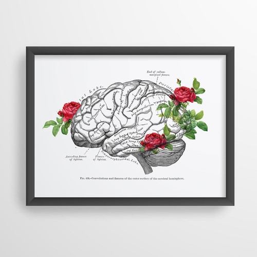 Brain Hemisphere Fissures and Convolutions Neuro Floral Anatomy Art ...