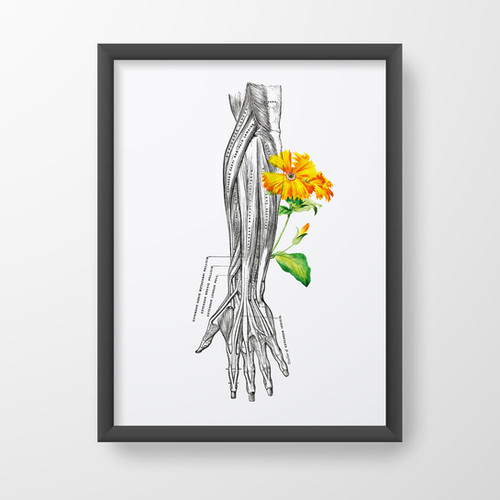 Hand Forearm Muscle Tendon Floral Human Anatomy Art Print | Anatomy Art ...