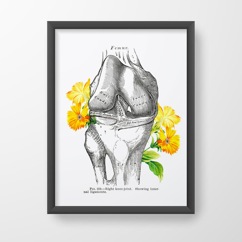 Knee Joint Internal Ligament Floral Human Anatomy Art Print | Anatomy ...