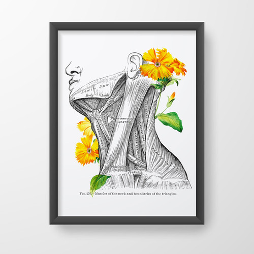 Neck Muscle Floral Medical Drawing Human Anatomy Art Print | Anatomy ...