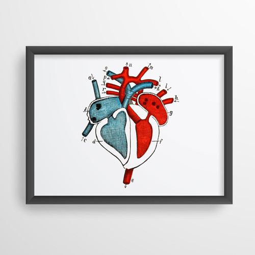 Heart Cardiology Vintage Human Anatomy Art Print | Anatomy Art Gallery