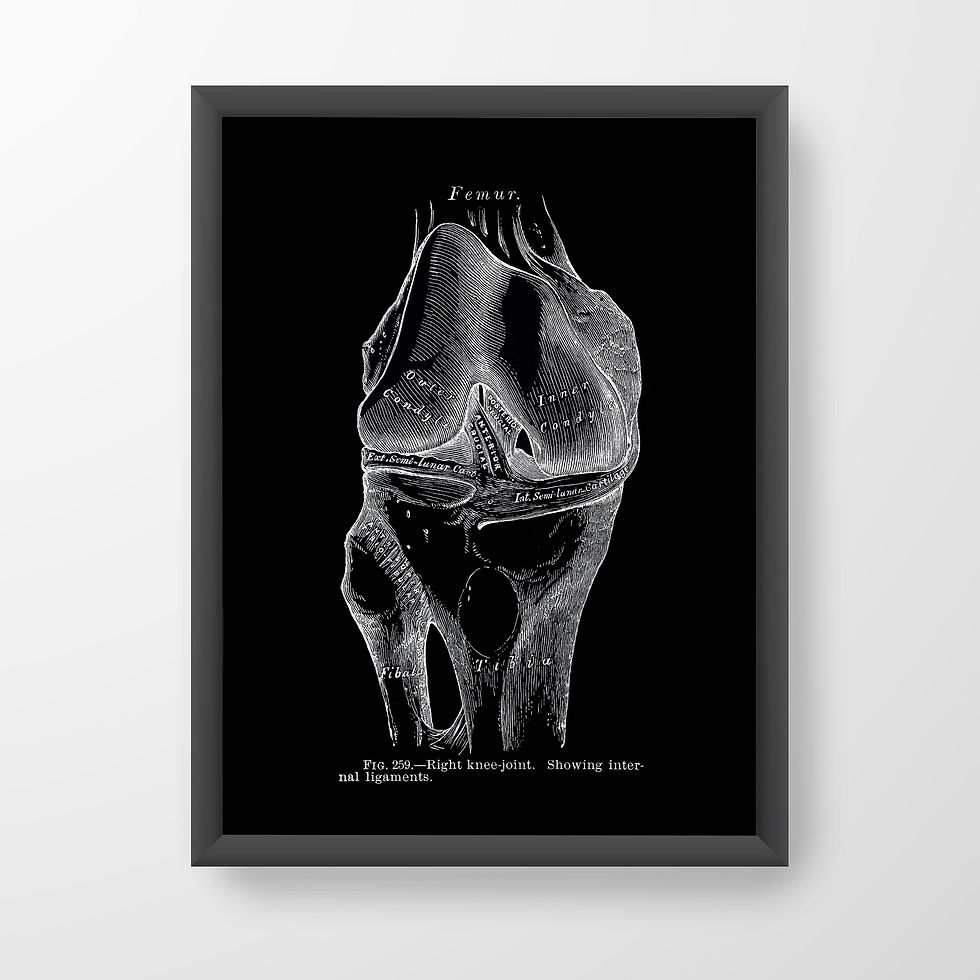 Knee Joint Internal Ligament Medical Drawing Human Anatomy Art Print X ...