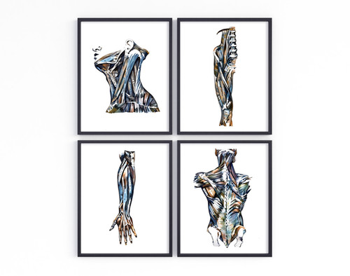 Muscle Collection Back, Neck, Arm, Leg Geometric Watercolor Anatomy Art ...