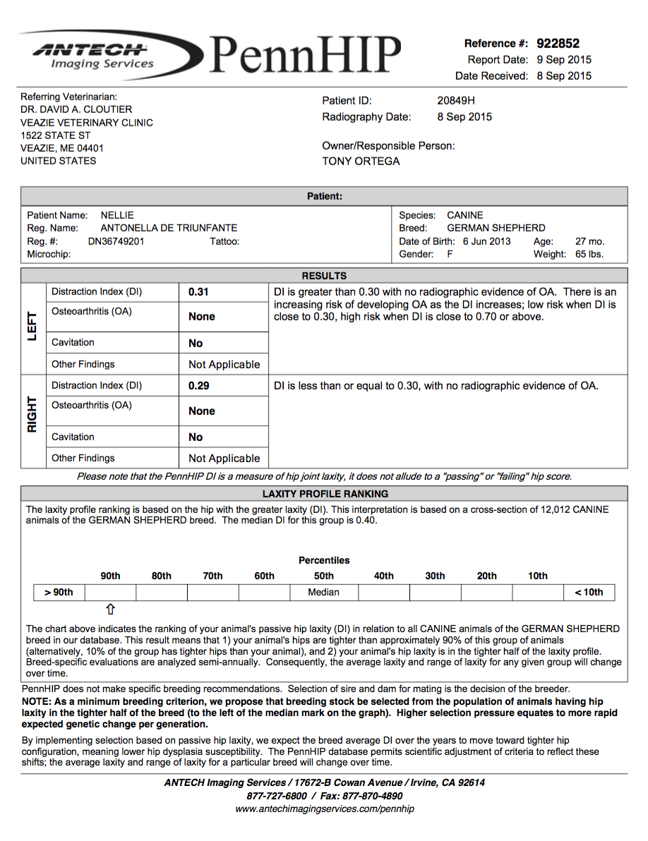 PennHip | mainegermanshepherds