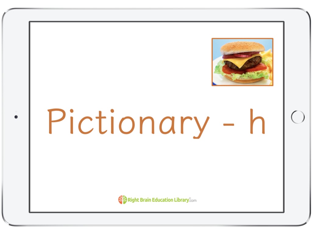 Baby Flash Cards | Early Learning | Right Brain Education Library