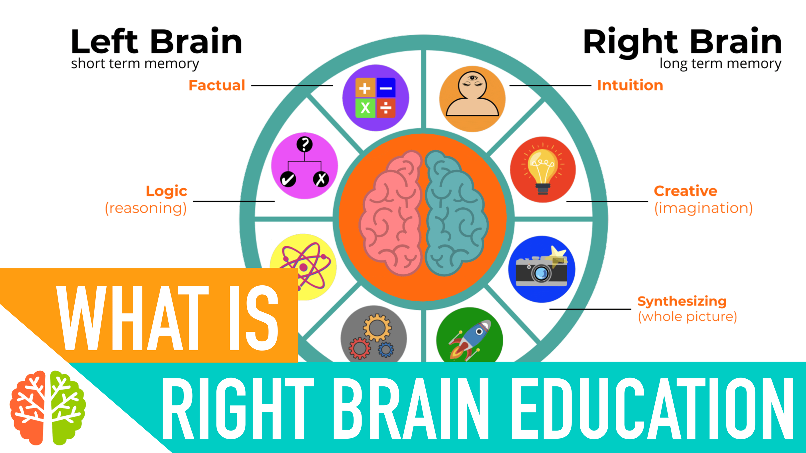 Right Brain Education At Home Online | Baby, Toddler, Infant Flash ...