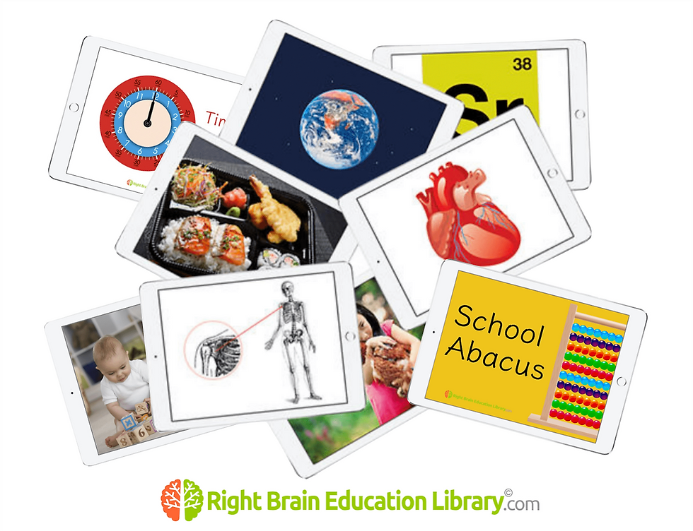 Right Brain Education Activities For 1, 2, 3, and Above 4 Years Old