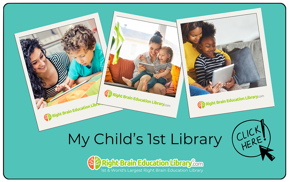 Right Brain Education: High-Quality Baby Program