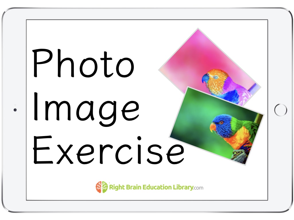 Baby Flash Cards | Early Learning | Right Brain Education Library