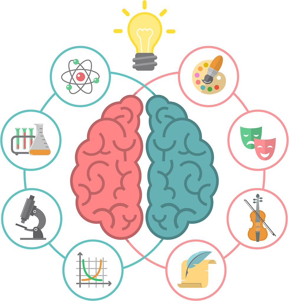 Right Brain Education & Training Activities (1, 2, 3 years old ...