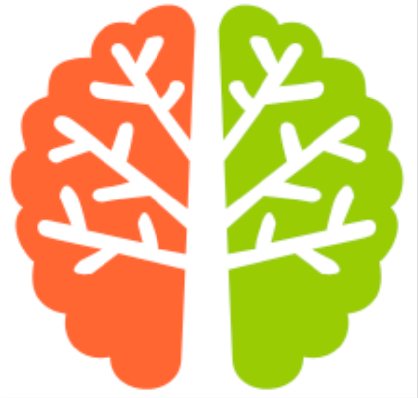 Right Brain Education At Home Online | Baby, Toddler, Infant Flash ...