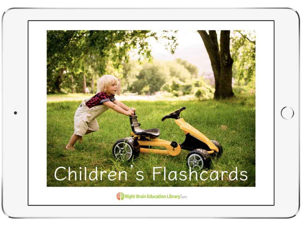 Baby Flash Cards | Early Learning | Right Brain Education Library
