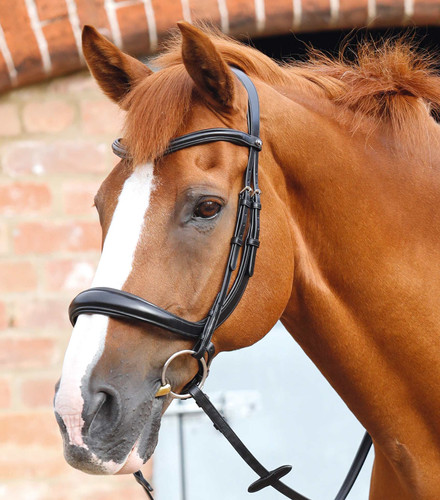PE Lambro Anatomic Bridle | Horse-Shop.co.uk