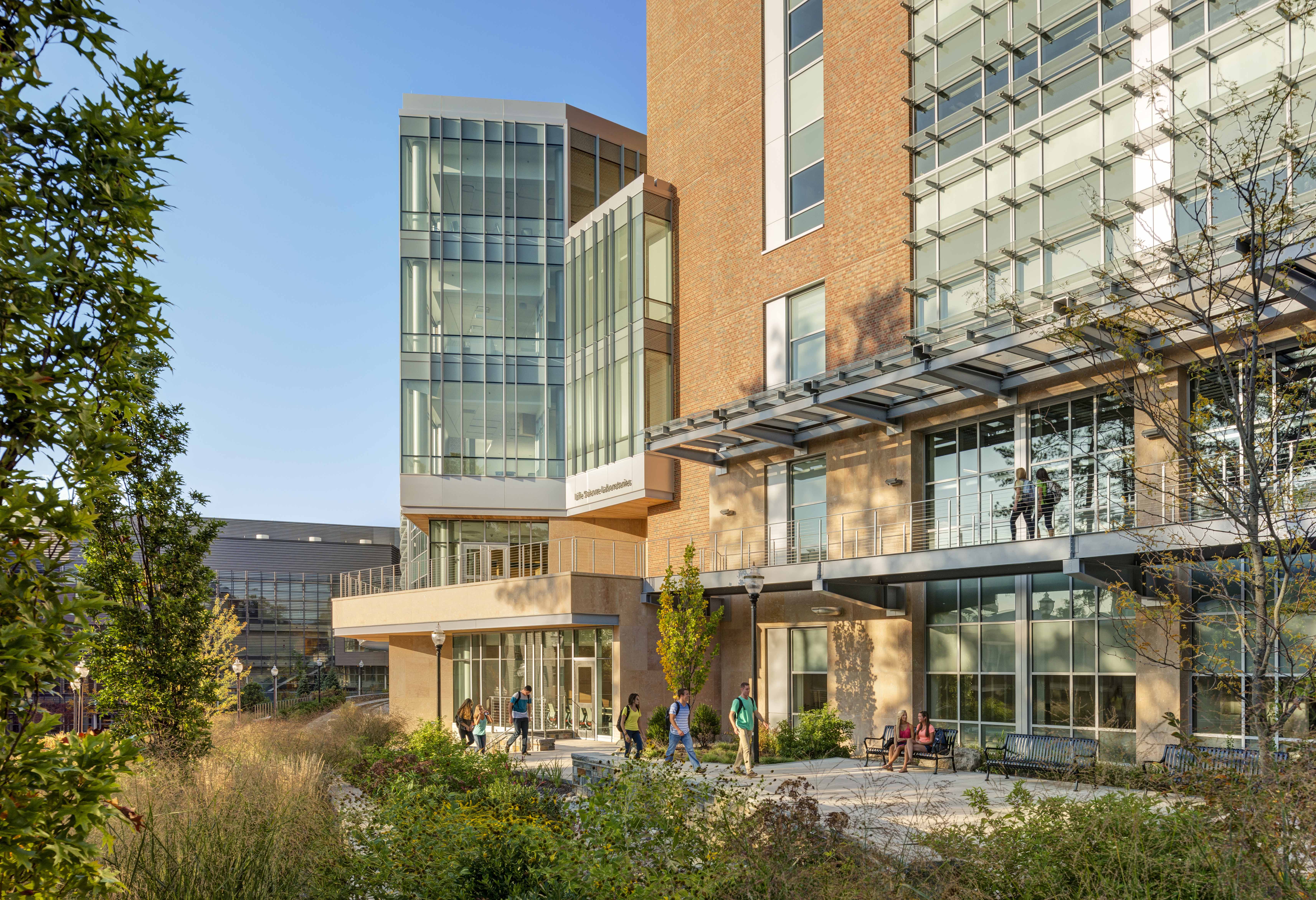 UMass - Amherst LSL | towersgolde-web