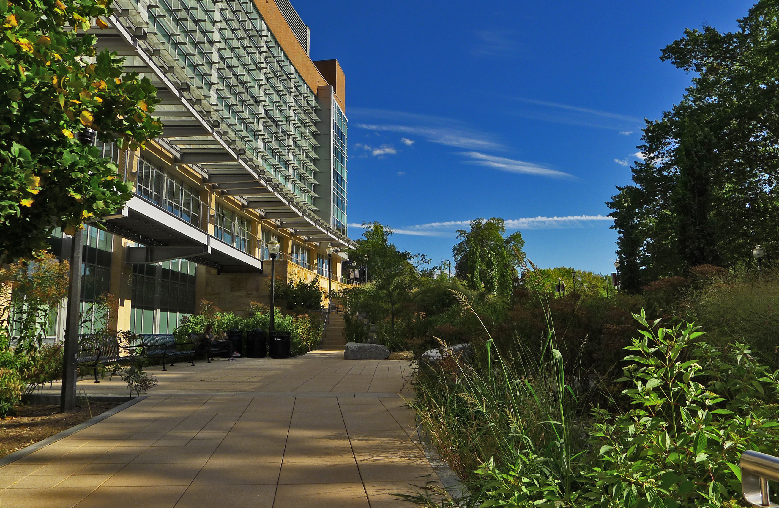 UMass - Amherst LSL | towersgolde-web