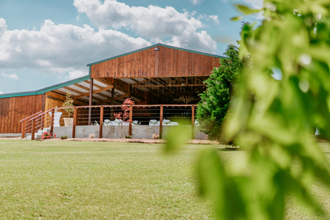 The Pines at Matthews Tree Farm