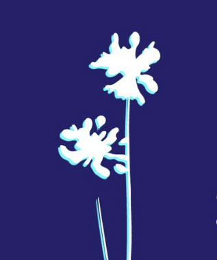 Companies | Lifespace Labs