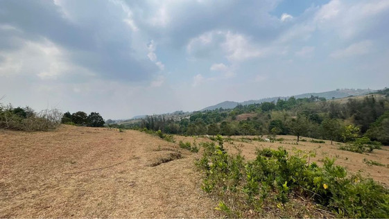 12 Acres Land For Sale