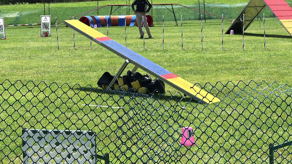 HOME | Agilityworld.com