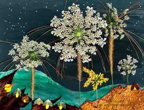 Firefly Festival Fireworks | Autumn Emeralds