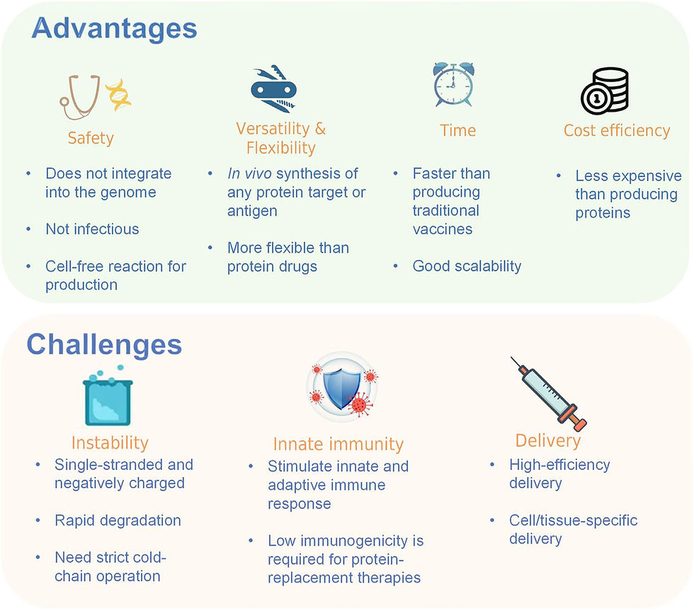 mRNA Therapeutics: A Promise On The Horizon