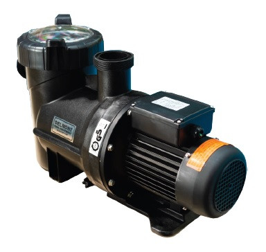 DELMONT QUANTUM POOL PUMP | DELMONT INDONESIA