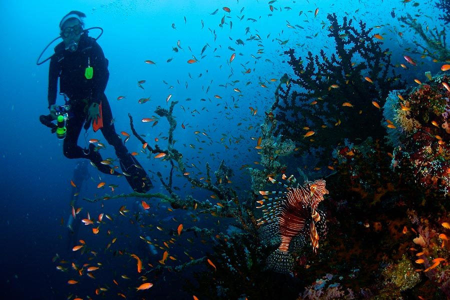 Welcome to Pulau Weh Resort for diving, leisure