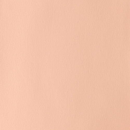 Pale Rose Blush | Compleat Artist