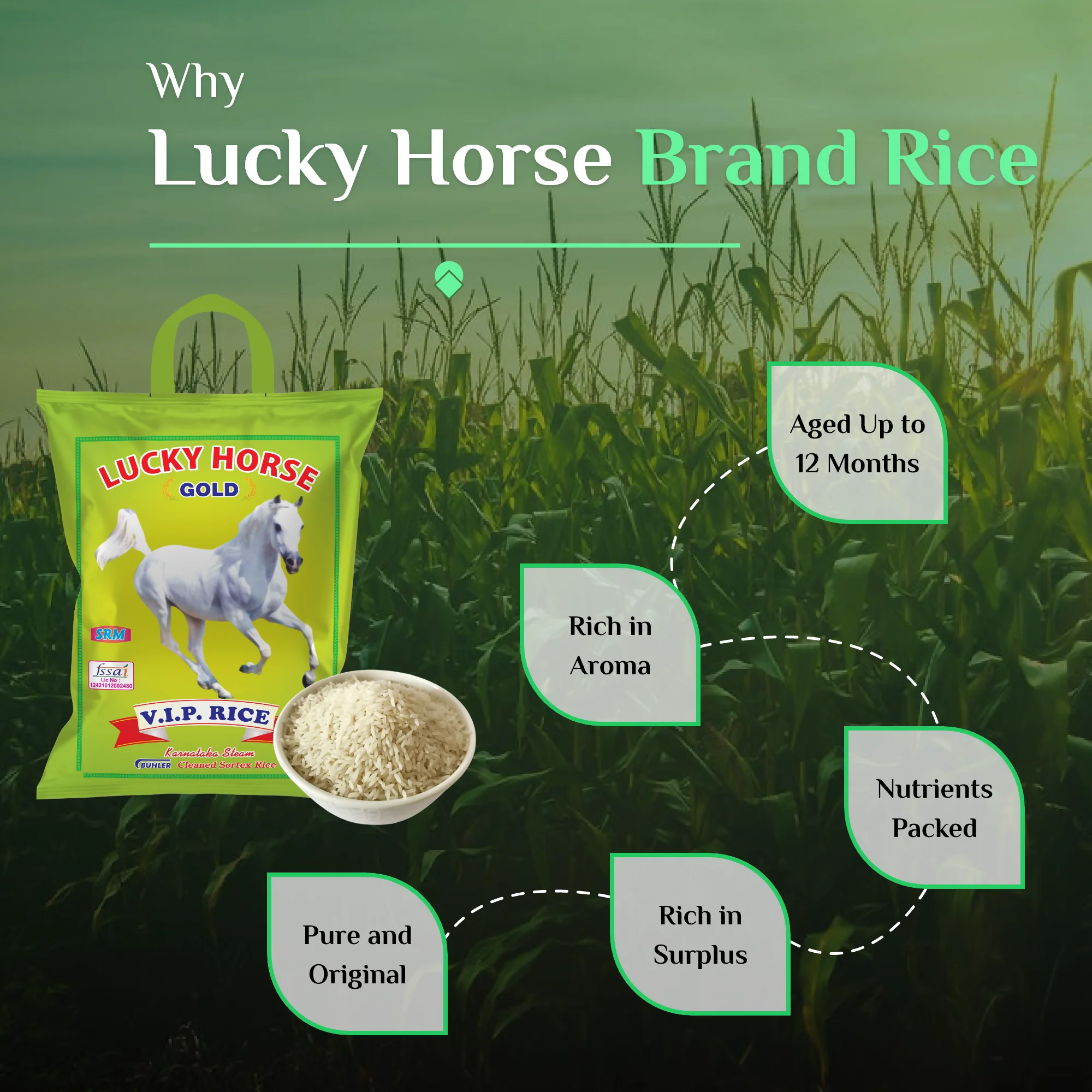 Lucky Horse Gold Sona Masoori Raw Rice | Sangamam Rice