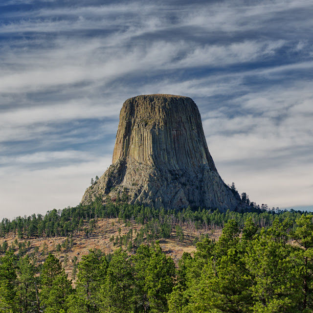 So Called Devils Tower Petrified Giant Ancient Tree Stump