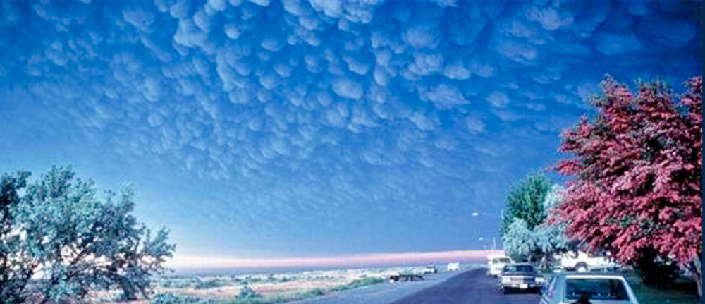A look at mammatus clouds