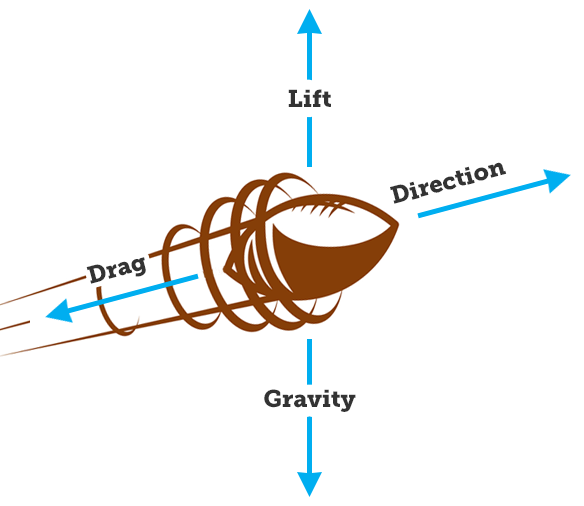 The Physics of Football