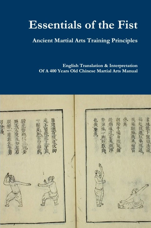 Video Compilation for "Essentials of the Fist"