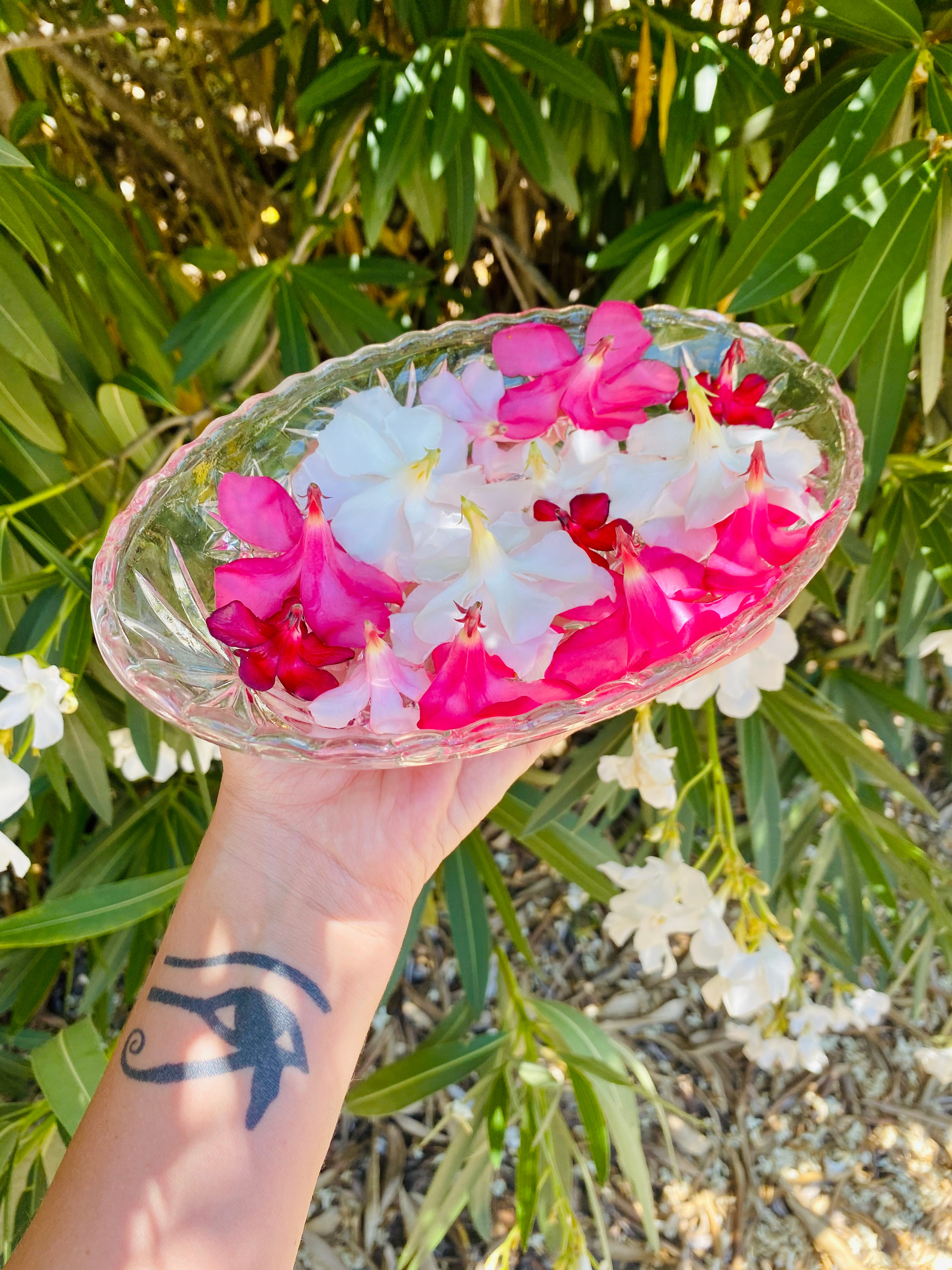 Flower Essences | Maitri Verde