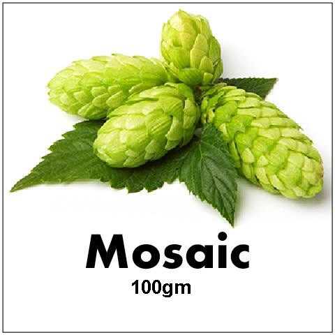 Mosaic Hops | Big Bubble