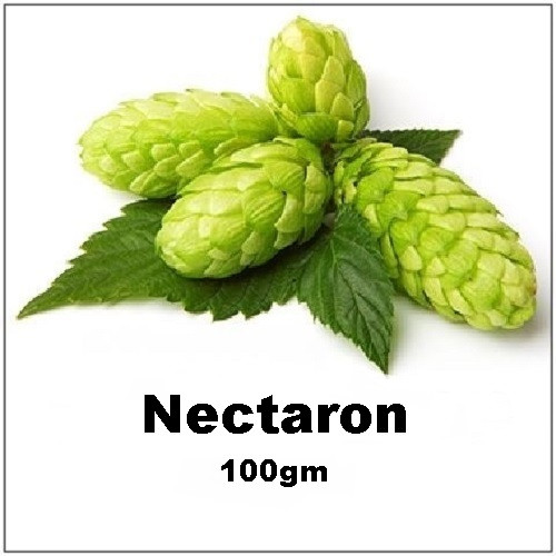 Nectaron Hops | Big Bubble